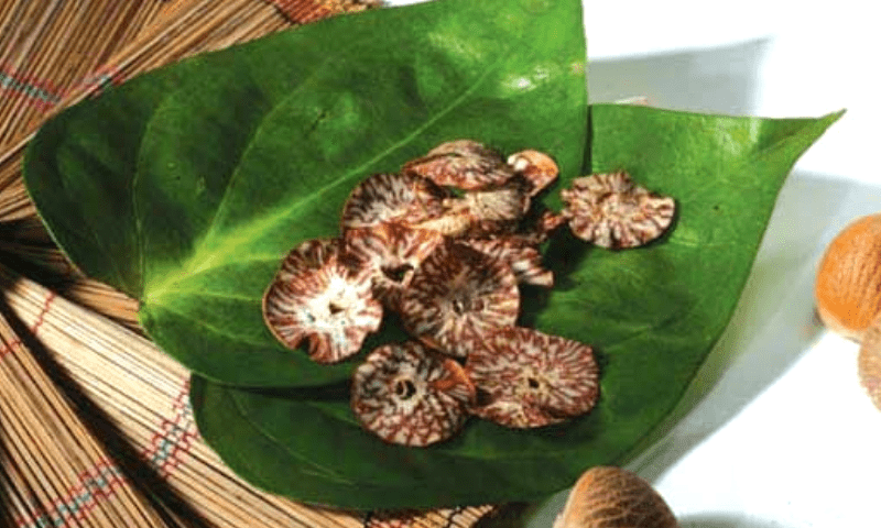 Do not take ‘chalia, supari’ to Turkiye, warns CAA - Pakistan - Aaj ...