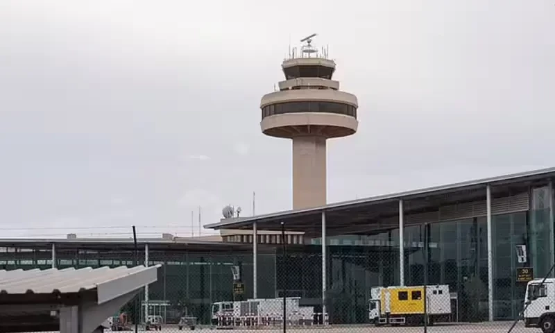 UK woman fights for her life after consuming insect filled coffee at ...