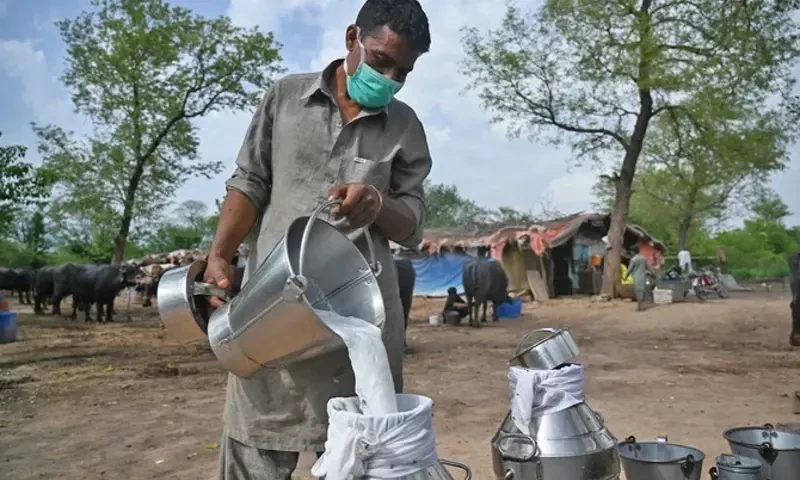 New customs values set for milk powder imports - Pakistan - Aaj English TV