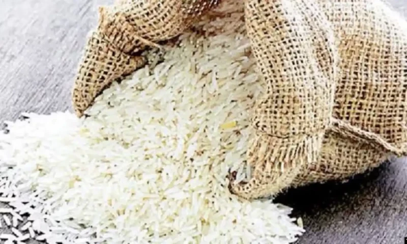 Pakistan wins Basmati rice ownership battle against India in global ...