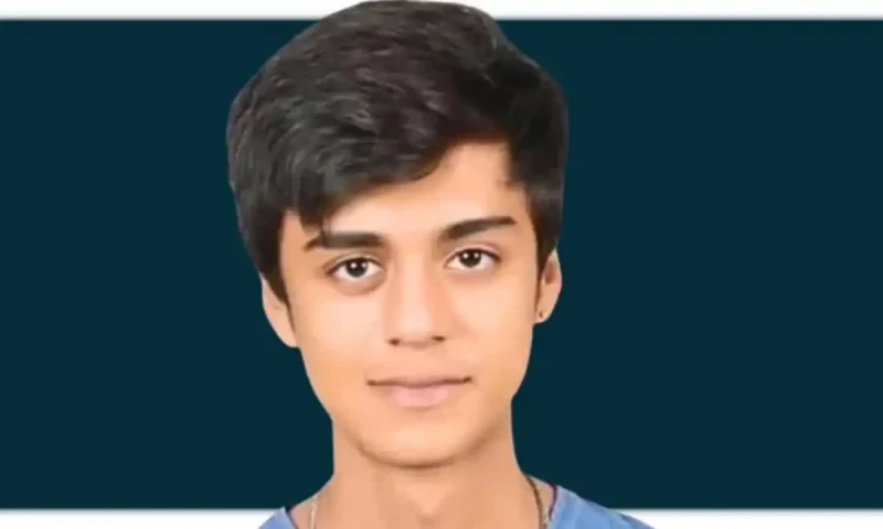 Mustafa Amir murder case: Parliamentary committee expresses concern ...