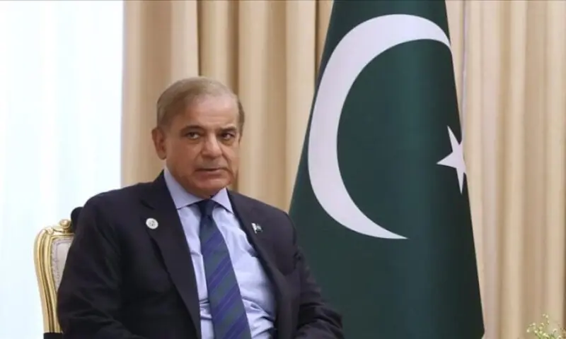 Hamas response opens door to Gaza ceasefire, says PM Shehbaz - Pakistan ...